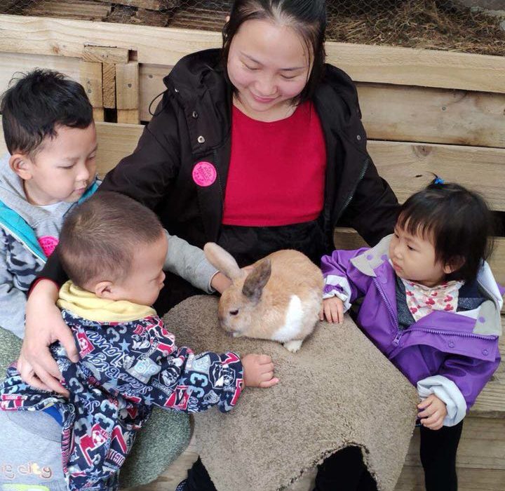 Become an Educator - Treasure Tree In-Home